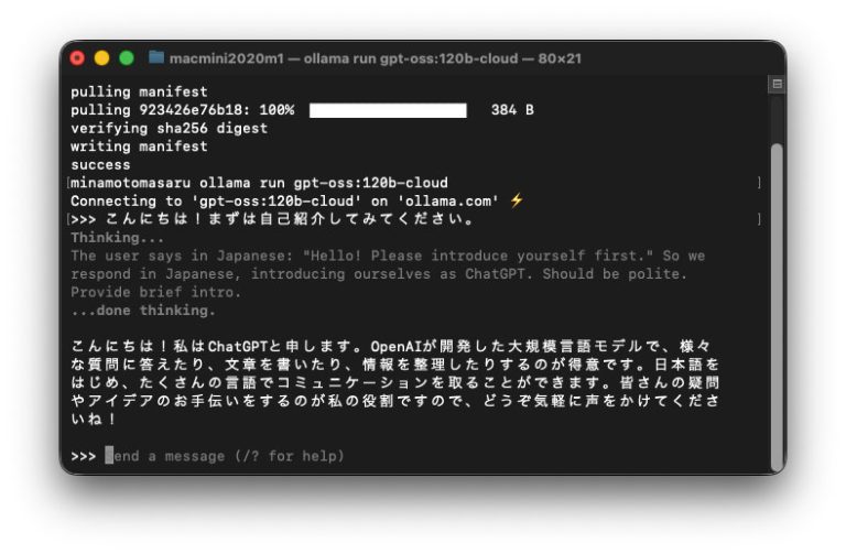 Ollama クラウド版の使い方（APIキー取得とサインインの違い） | 源勝 AI 実験室